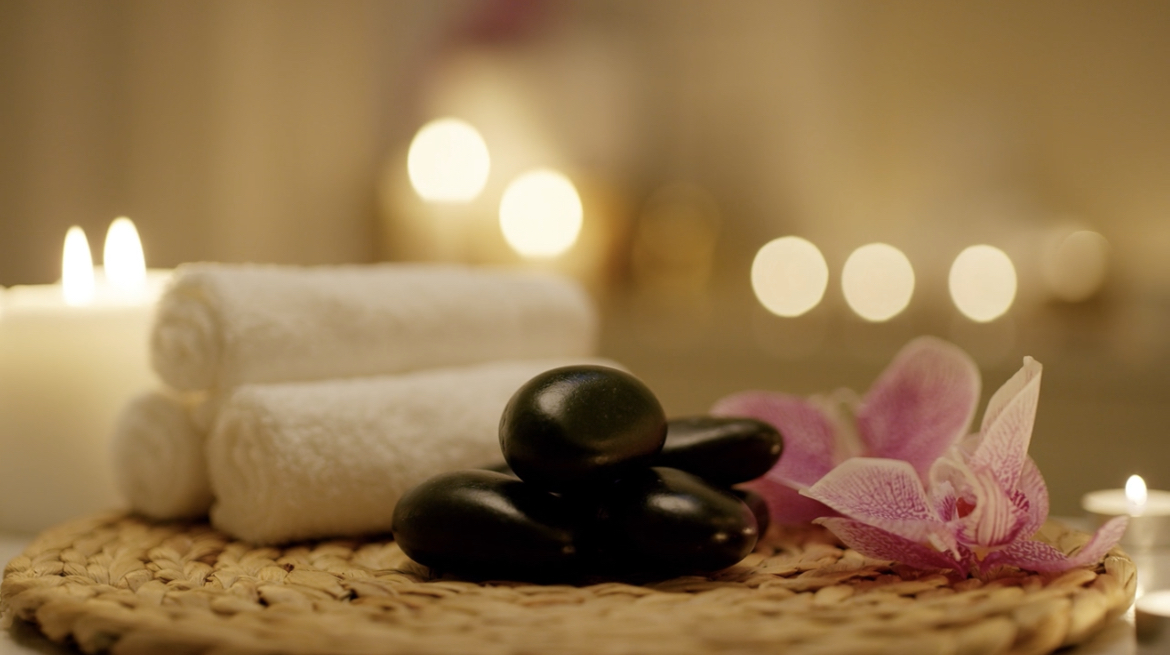 VESTA.VEDA - VESTA.MED